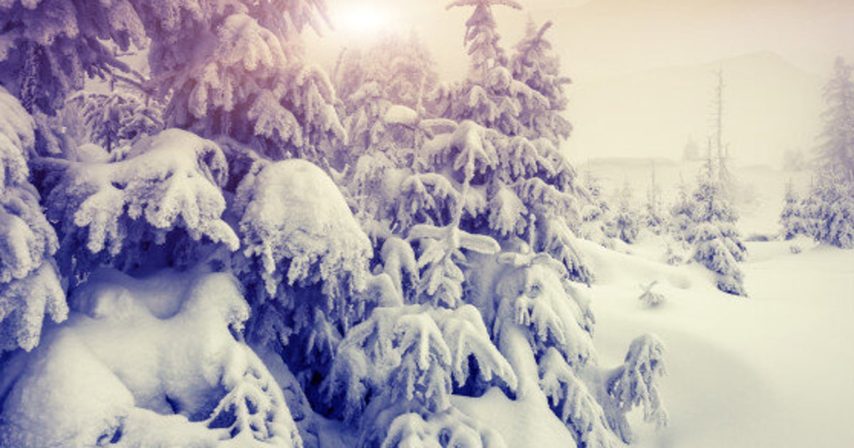 Hoar Frost In Calgary Looks Absolutely Stunning (PHOTO) | HuffPost Alberta