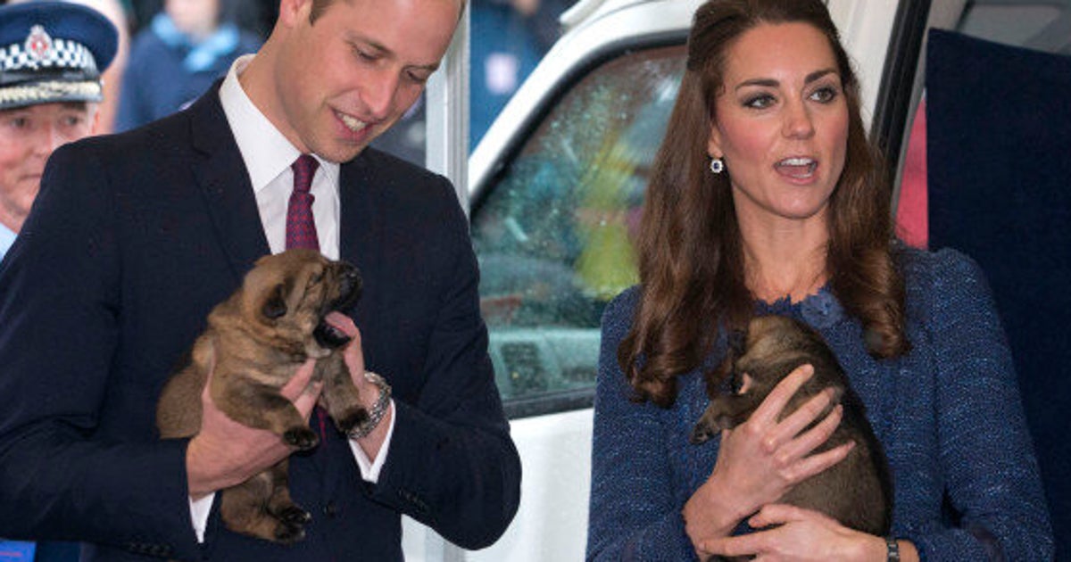 Royal Tour 2014 Photos: William And Kate Cuddle Puppies, Say Goodbye To ...