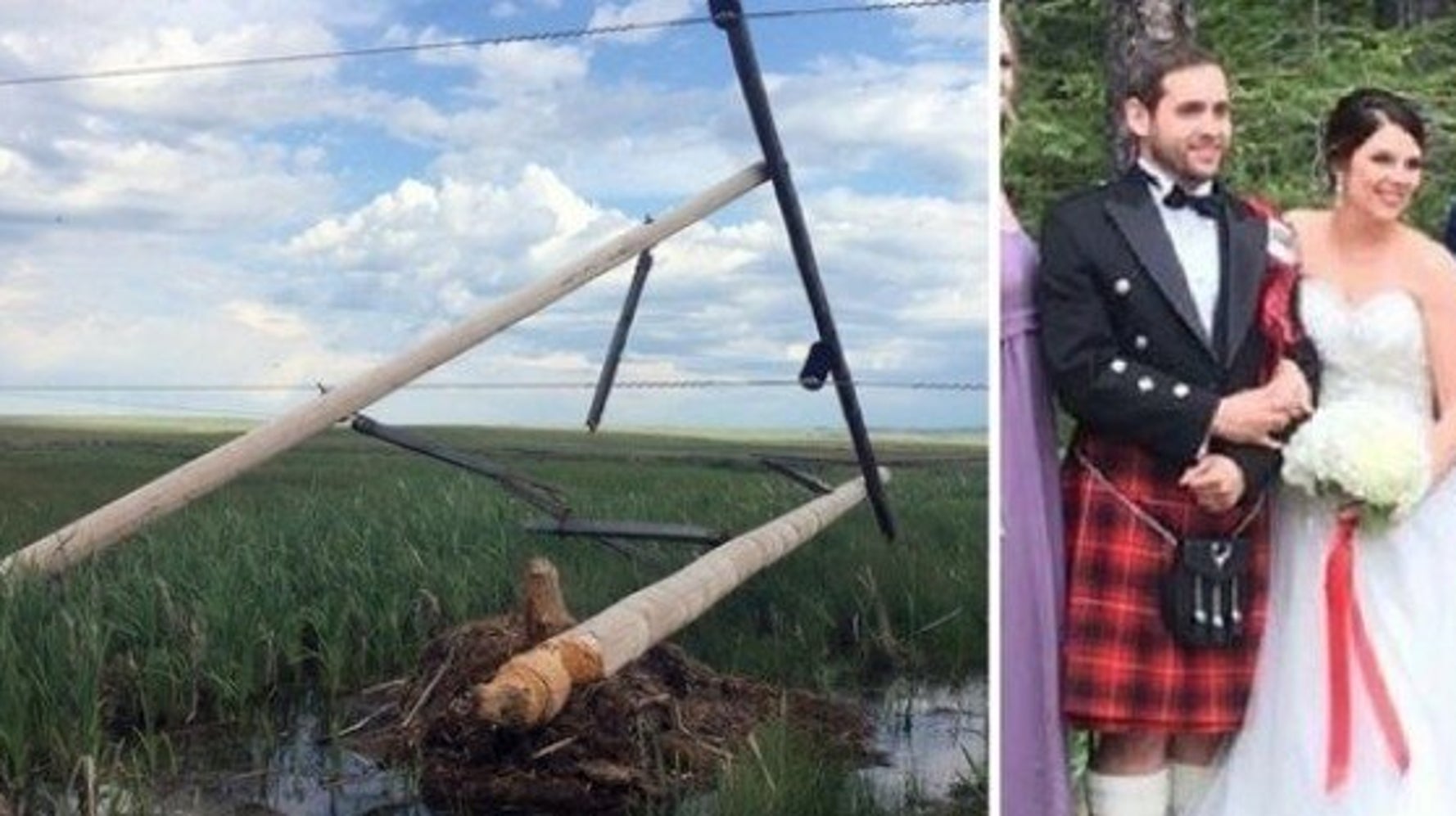 Beaver Downs Power Pole In Saskatchewan, Cutting Electricity To Couple ...