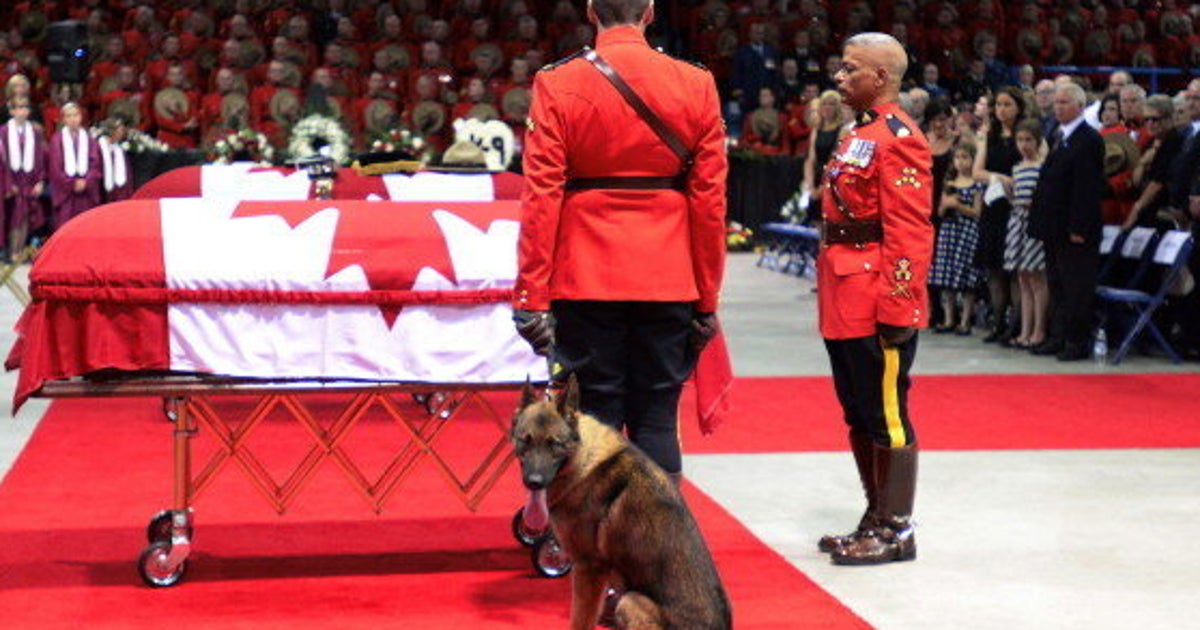 Fallen Mountie Dave Ross' Dog Danny Says Final Goodbye | HuffPost News