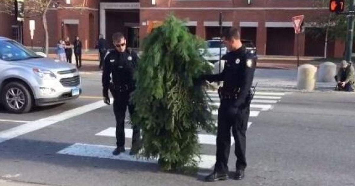 Asher Woodworth, Man Who Dressed Up As Tree, Arrested For Blocking ...
