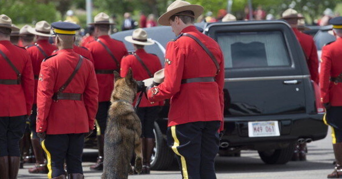 Dave Ross's Dog Danny To Be Paired With New Mountie (VIDEO, PHOTOS ...