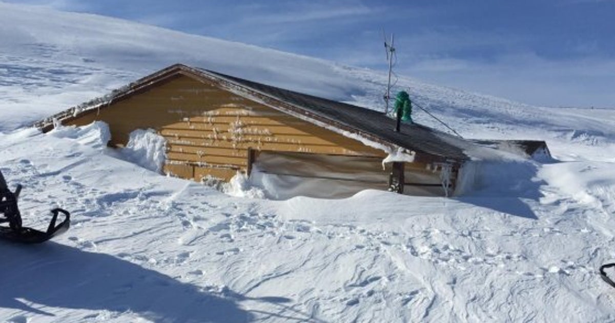 Newfoundland Snow Has Completely Buried Some Homes In Gander | HuffPost ...