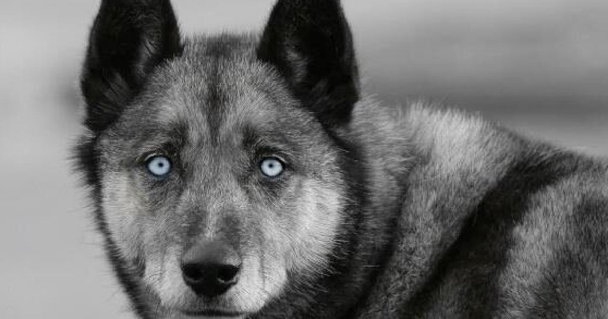 B.C. Photographer Of The Month: Pam Mullins | HuffPost British Columbia