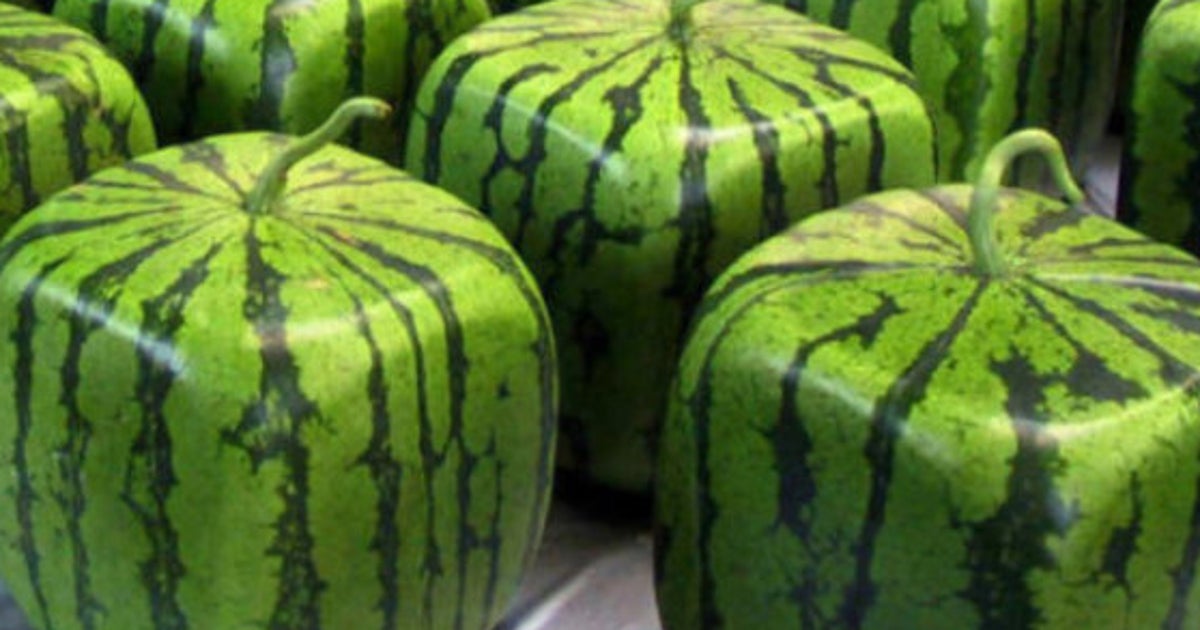 Cube-Shaped Watermelons Can Be Yours | HuffPost Life