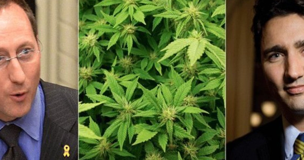 Peter MacKay Hints Tories May Consider Loosening Marijuana Laws ... Peter MacKay Hints Tories May Consider Loosening Marijuana Laws ...