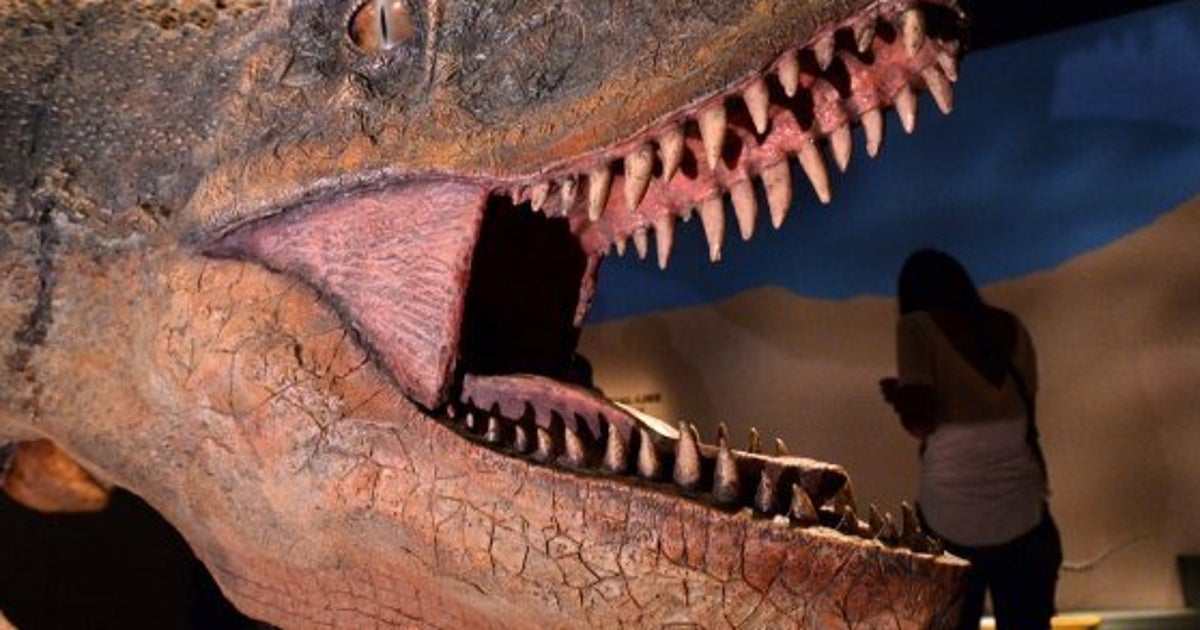 Is Your Successful Business on the Road to Extinction? | HuffPost Business