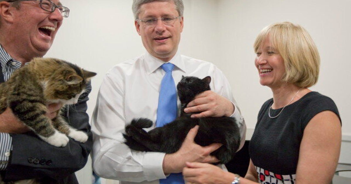 Laureen Harper Joins Twitter, Sends First Tweet To Tony Clement ...