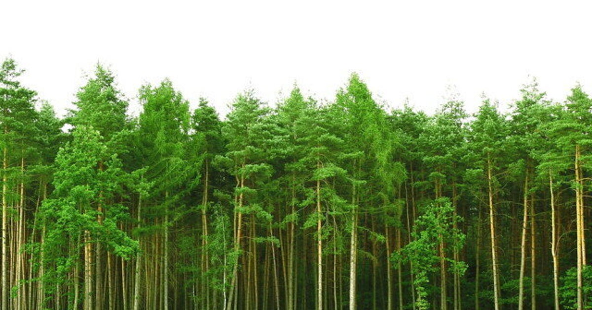 A Little Less Cardboard Can Save You Millions | HuffPost Business