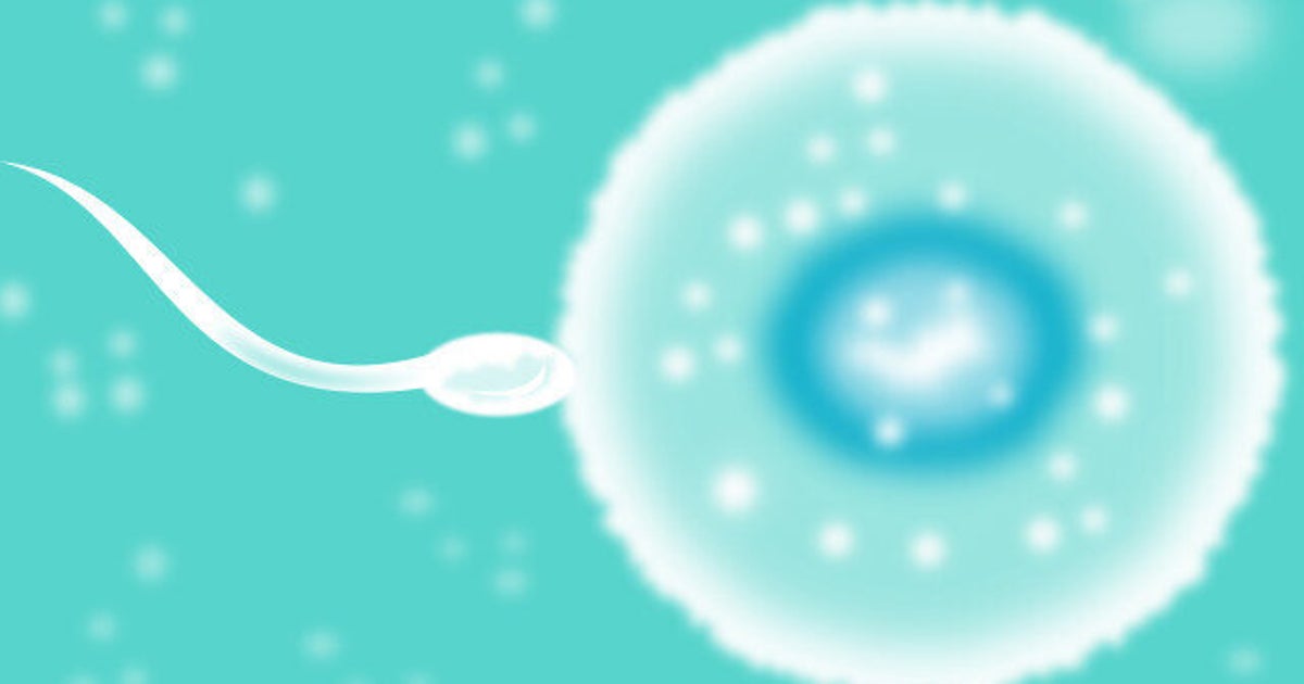 Should Your Donor Offspring Know Its Biological Parents? | HuffPost Life