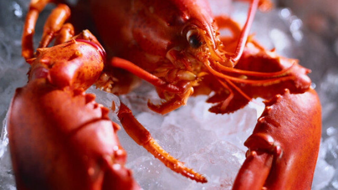 Bay of Fundy seafood