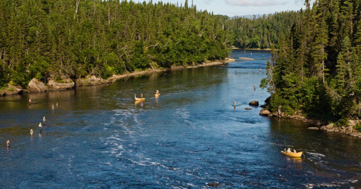 Search Continues For Toronto Man Who Fell In Humber River | HuffPost News
