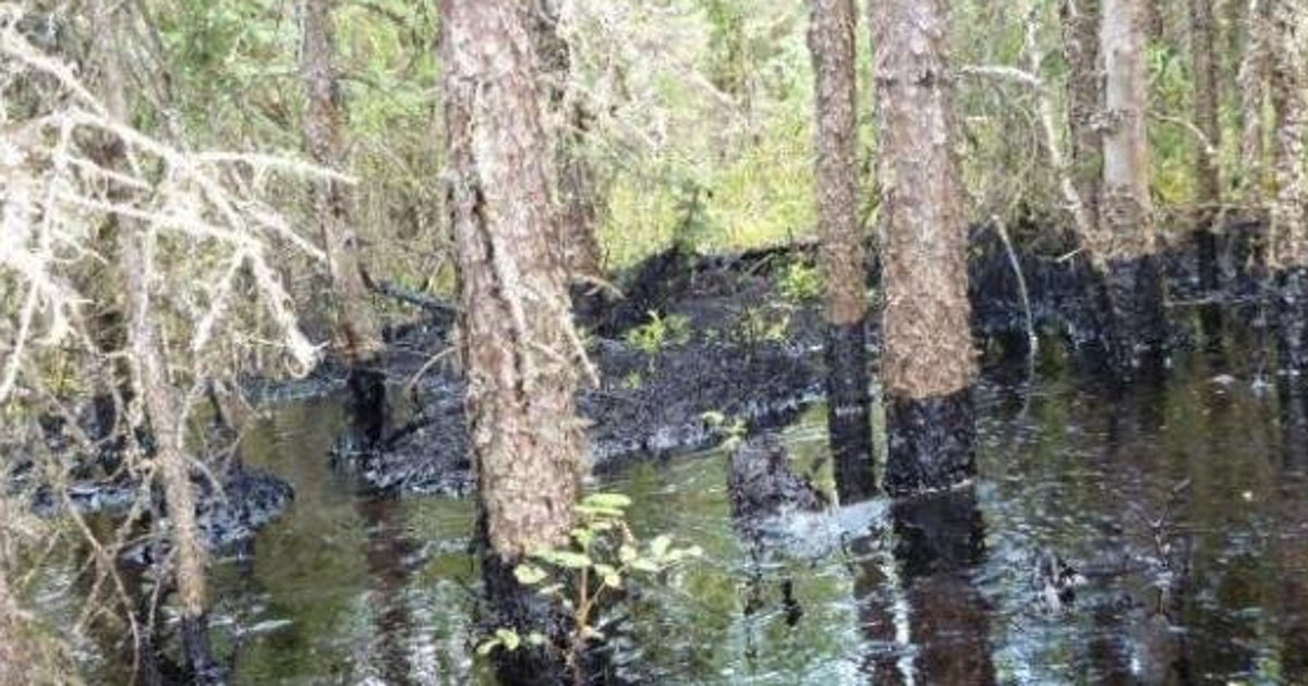 Cold Lake Bitumen Spill Photos Leaked By Government Scientist: Report ...