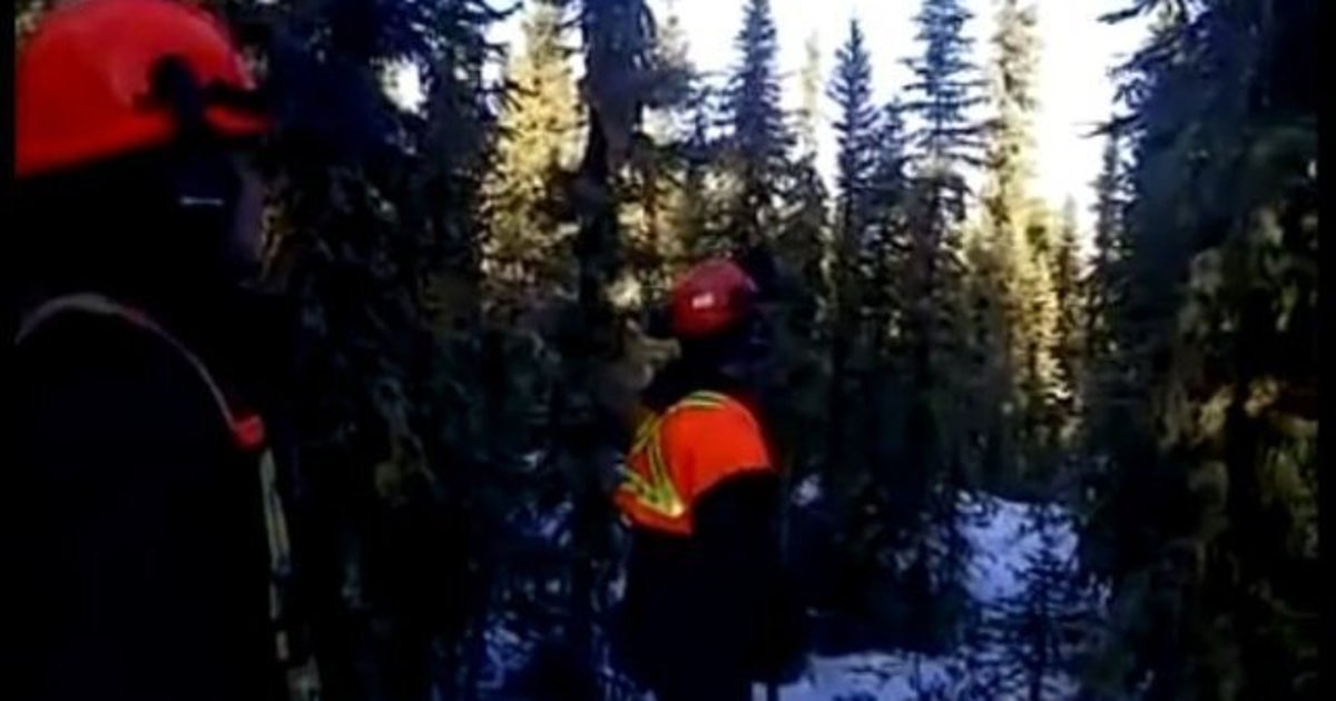 Weird Noise: Strange Sounds Popping Up In Different Parts Of Canada ...