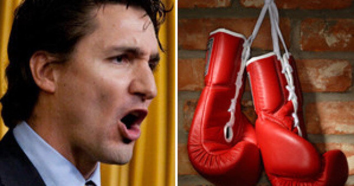 Justin Trudeau: Boxing Match Coming Between Liberal MP And Tory Senator ...