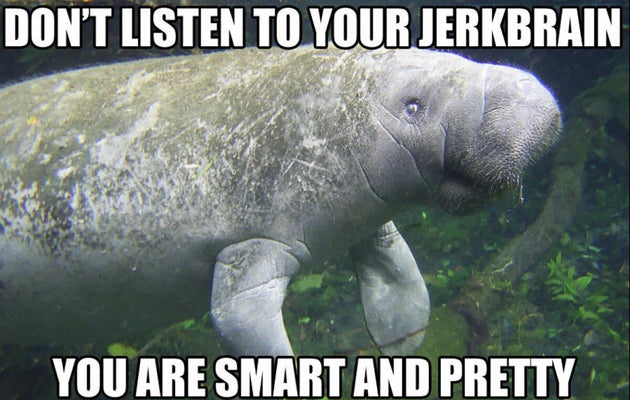 Calming Manatee Youre My Favorite