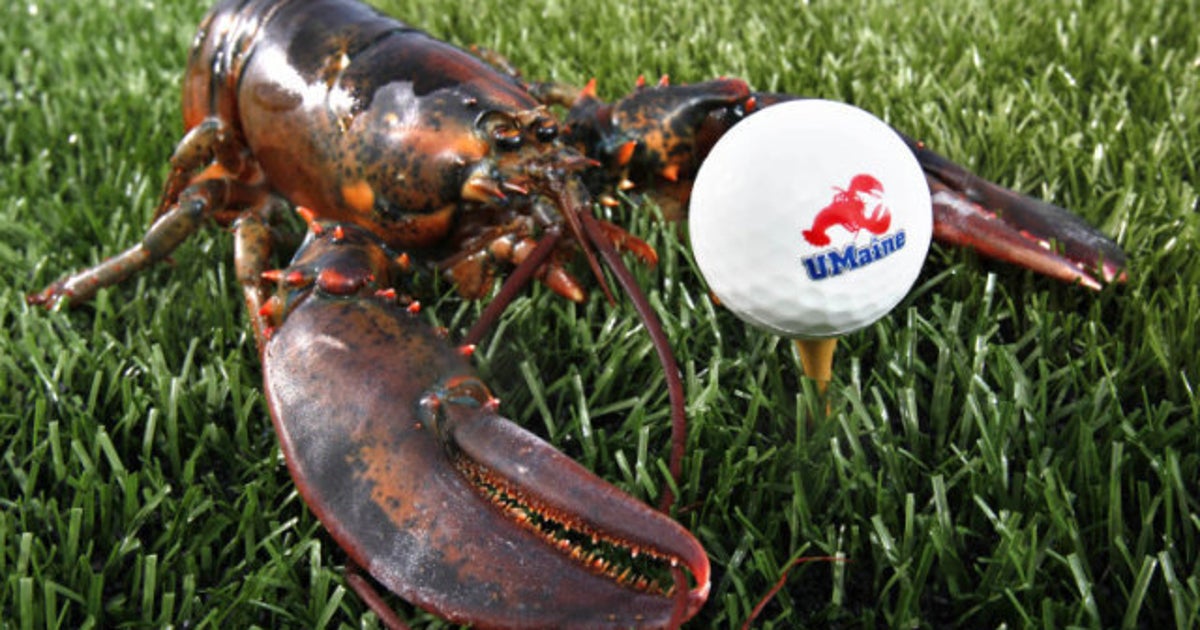 Fourchu Lobster: Cape Breton Crustaceans The Next Culinary Trend ...