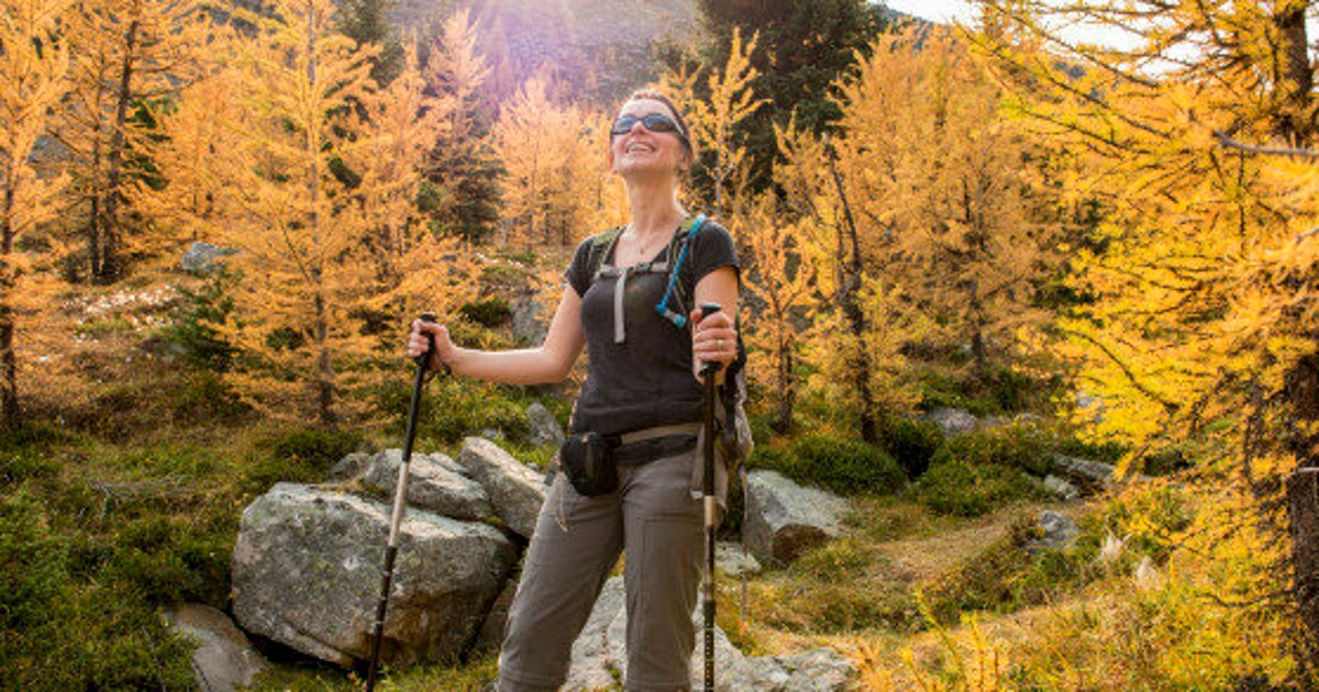 Where To See Alberta Larch Trees In Fall (PHOTOS) | HuffPost Alberta