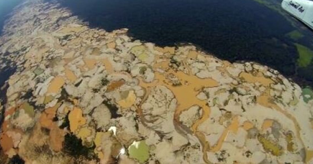 Amazon Gold Mining: Behold The Devastation | HuffPost Business