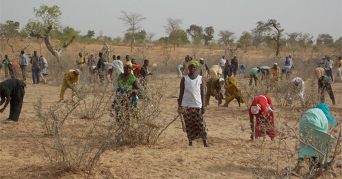 The People of Sahel Need Help | HuffPost News