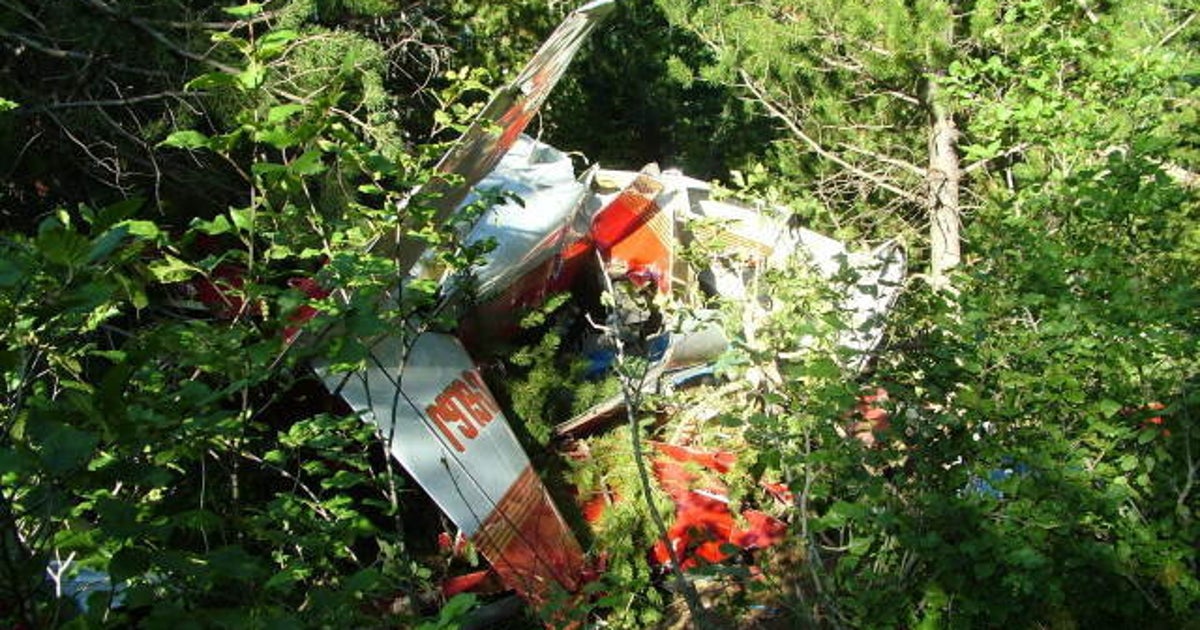 Brenda Mines Plane Crash: New Photos, Video Of B.C. Site, Jayson Dallas ...