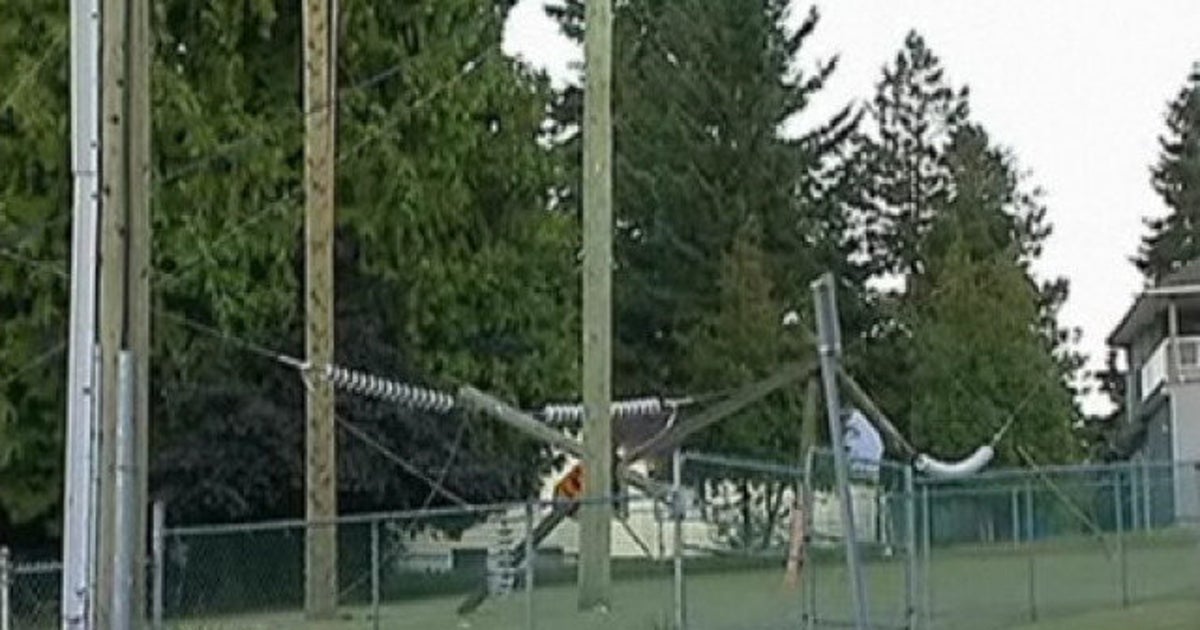 Surrey BC Hydro Tower Collapse Leads To Major Power Outage, Highway ...