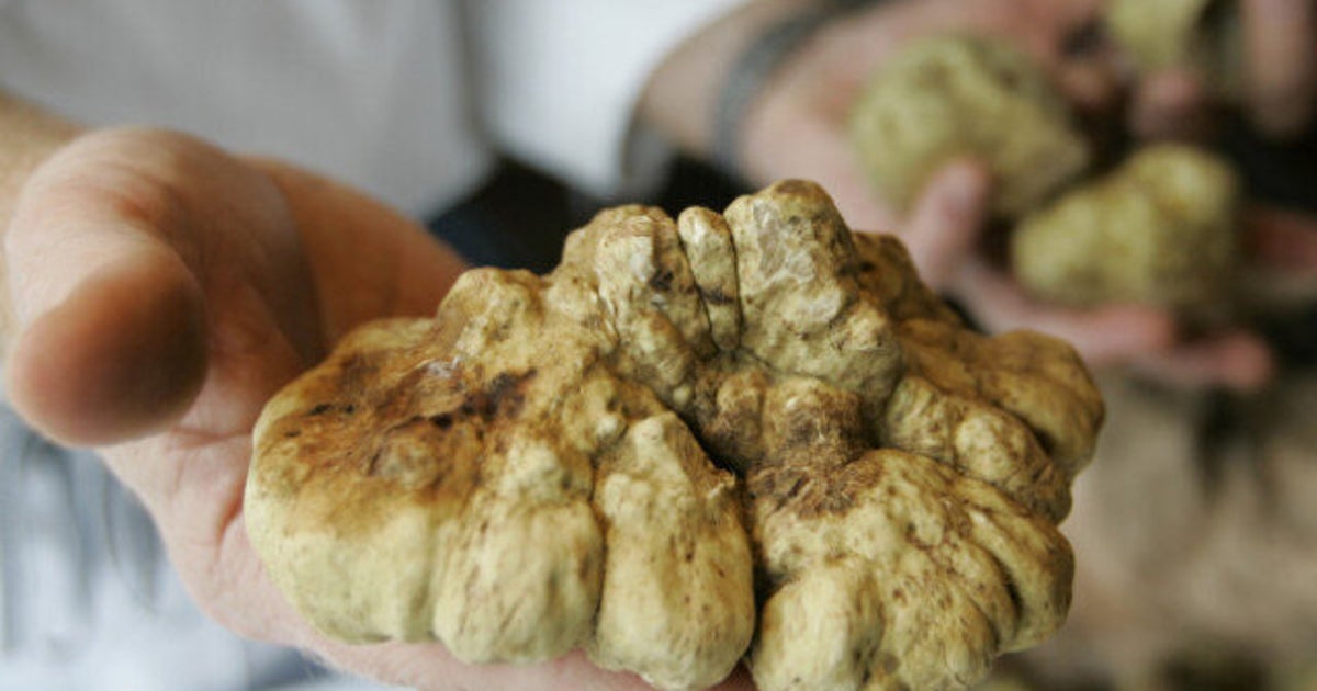 The Scent of a Truffle | HuffPost Life