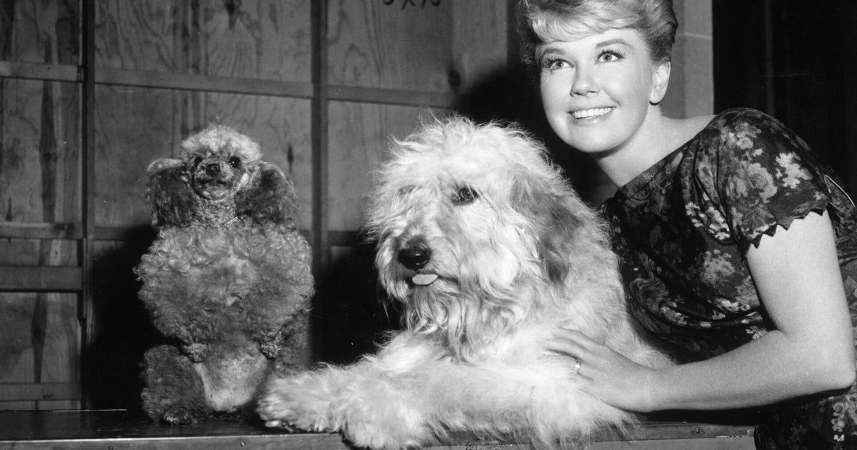 Actress Doris Day Dies At 97 | HuffPost UK Entertainment