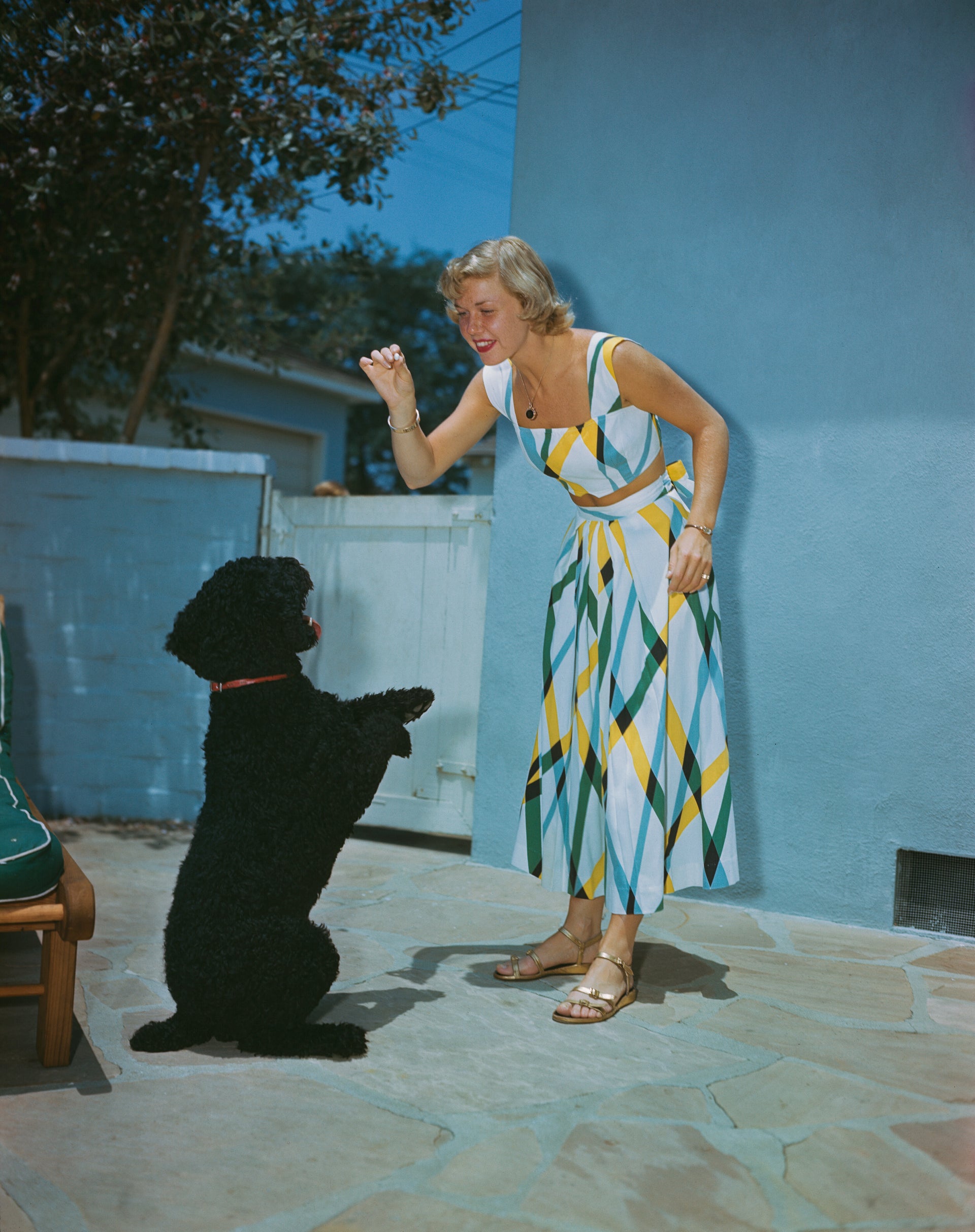 Photos Of Doris Day's Life And Career Through The Years | HuffPost Life