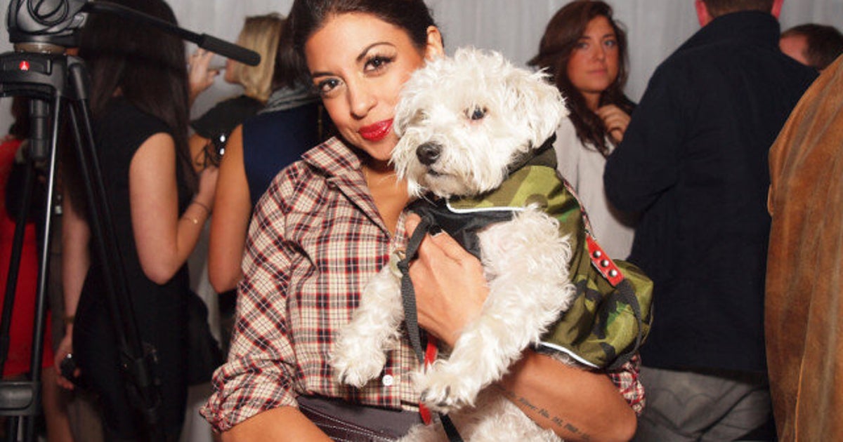 Instagram's This Wild Idea on Taking his Hound on the Road | HuffPost News