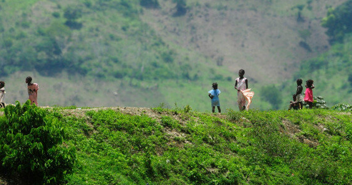 The Silent Collapse Of Hispaniola's Forests | HuffPost News