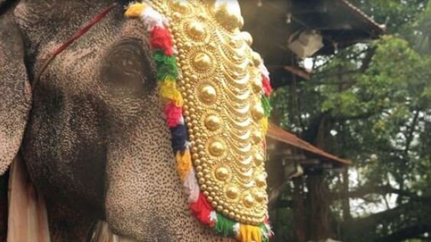 Elephants In Indian Culture And Religion