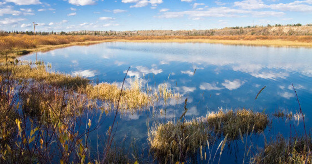 Why Canada Matters On World Wetlands Day | HuffPost News
