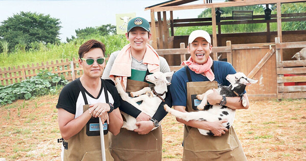 Tvn 측이 삼시세끼 여자편 론칭 보도에 반박했다 허프포스트코리아