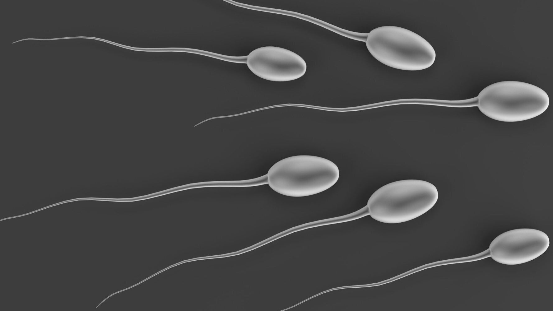 Ten Things You Need to Know Before You Get Your Hopes Up About a New ...