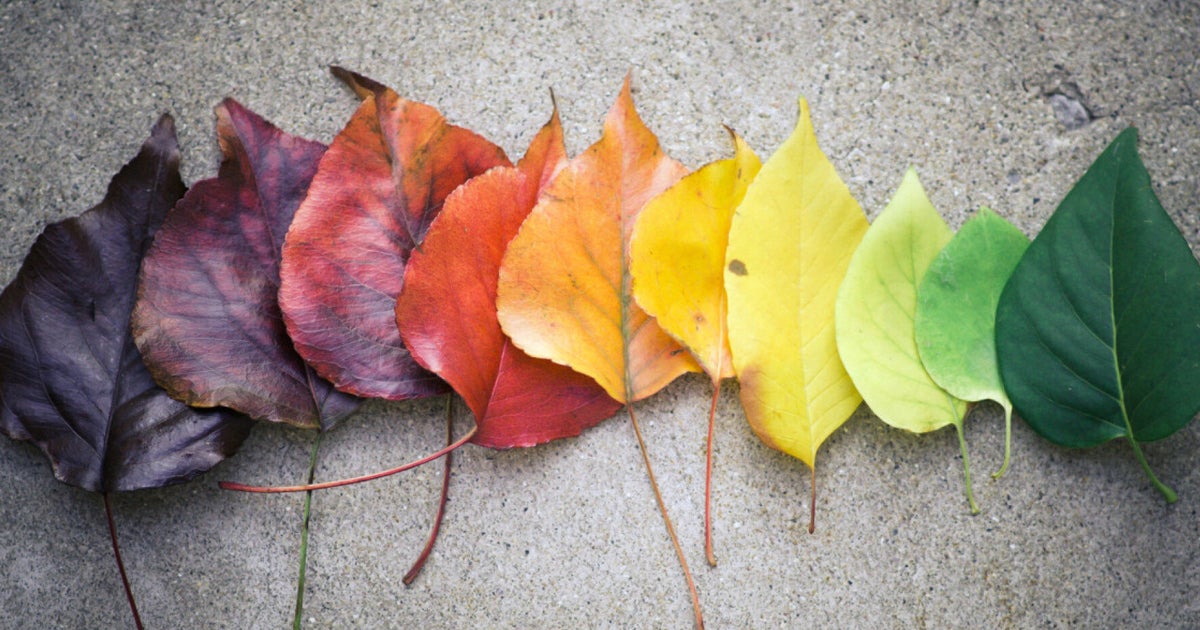 Why Personal Transition is Natural, Good For You and To Be Embraced ...