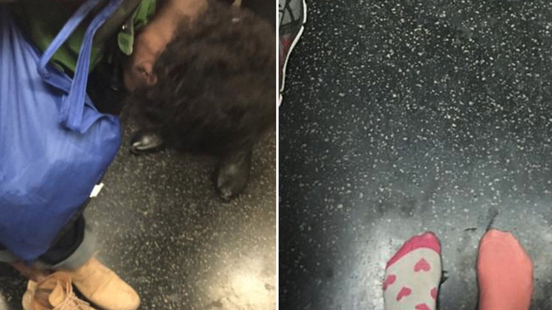 Kind-Hearted Commuter Gives Homeless Woman The Shoes She Is Wearing ...