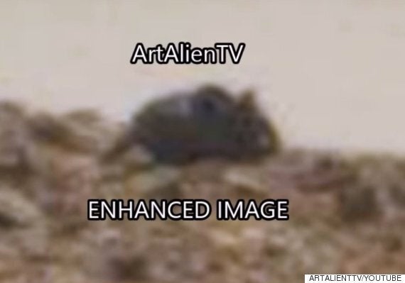 Alien Hunters Believe NASA's Curiosity Rover Has Spotted A 'Mouse' On ...