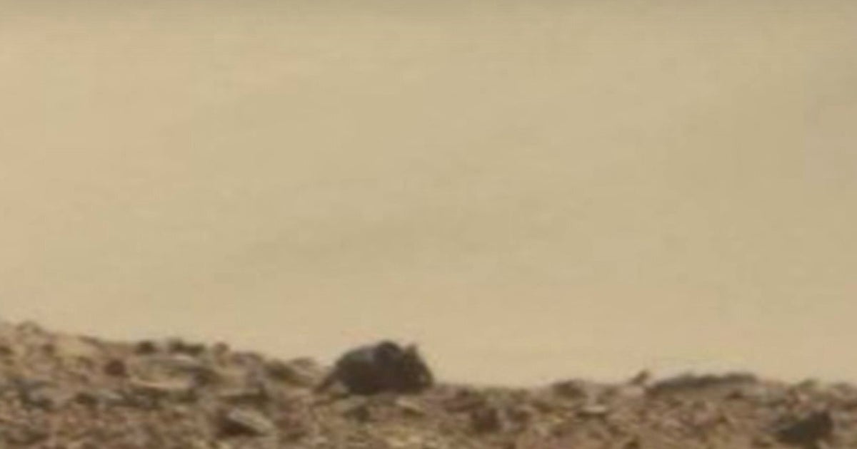Alien Hunters Believe NASA's Curiosity Rover Has Spotted A 'Mouse' On ...