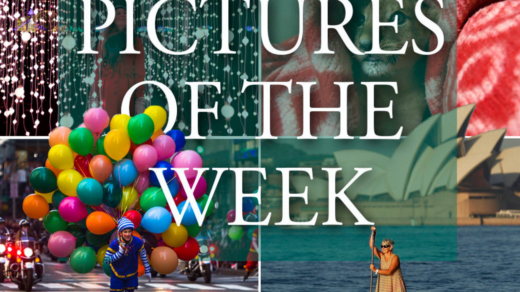 Pictures Of The Week: These Are The Best Images From Around The World ...