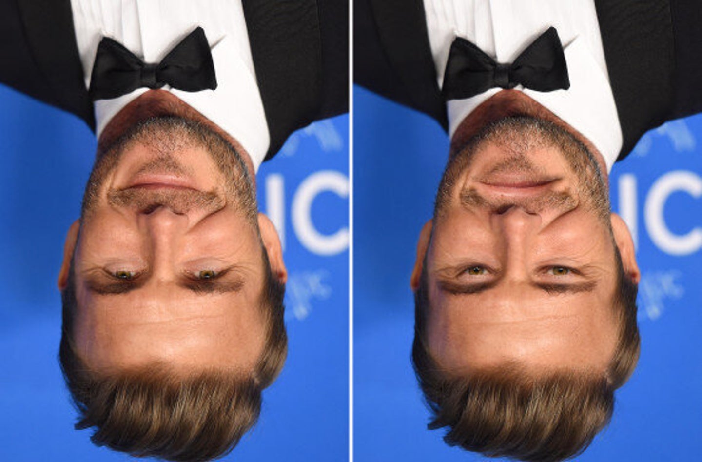 These Inversion Face Optical Illusions Will Blow Your Mind | HuffPost ...