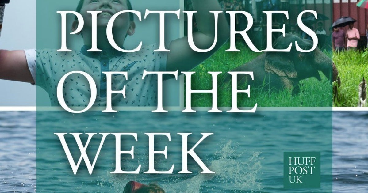 Pictures Of The Week: These Are The Best Images From Around The World ...