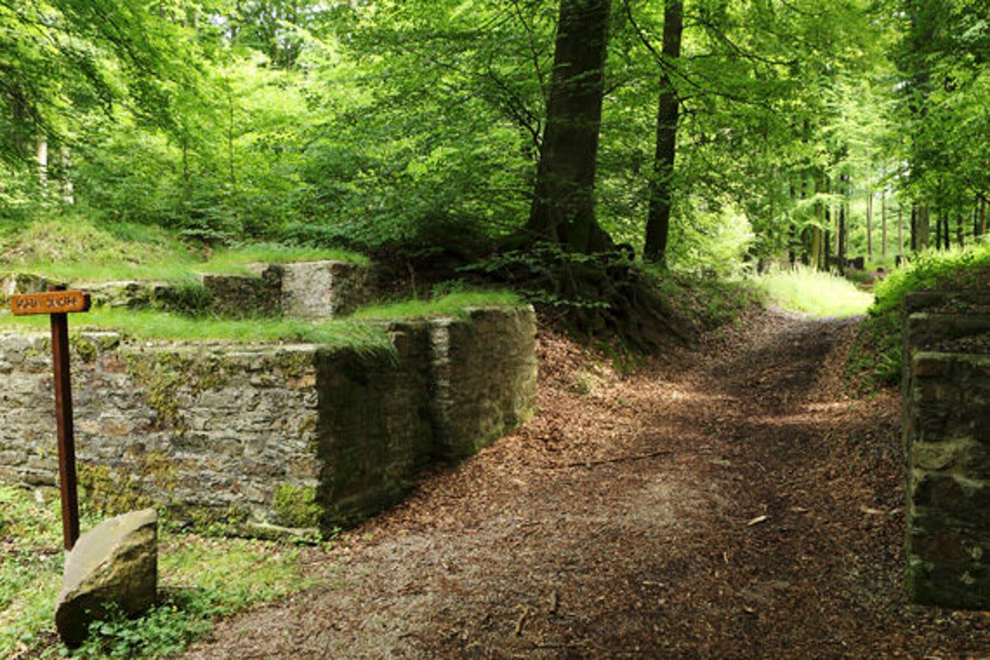 Travel Photography on the German Limes Route | HuffPost UK Life