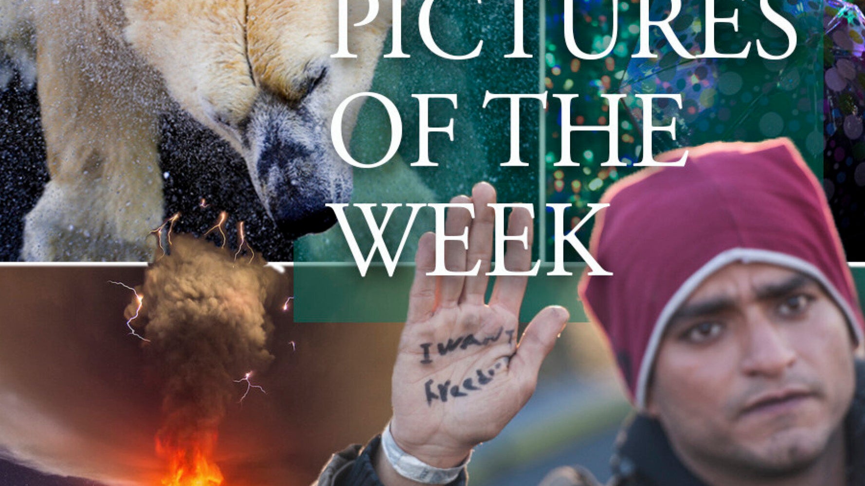 Pictures Of The Week: These Are The Best Images From Around The World ...