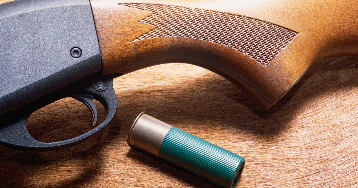 Splitting Hares - The Persecution of a Countryside Icon | HuffPost UK News