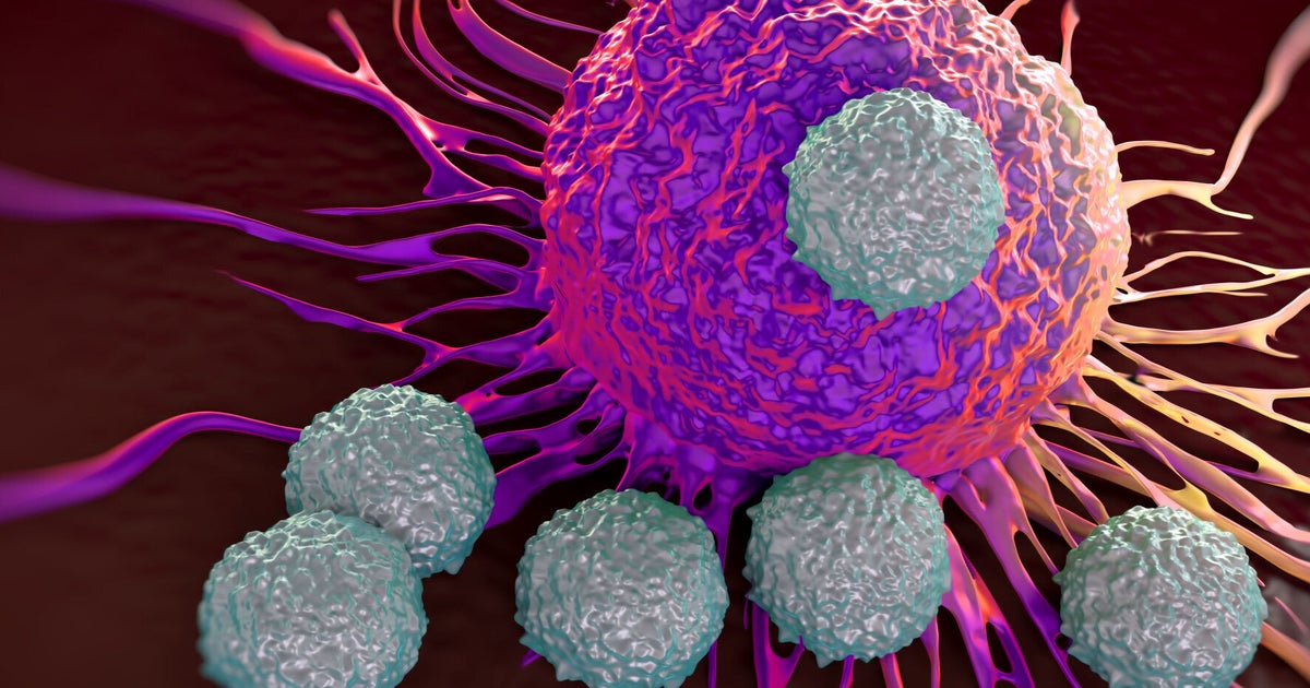 Cancer Breakthrough: New Therapy Produces 'Unprecedented' Results In ...