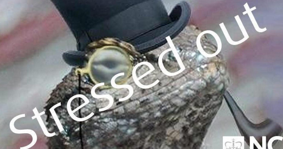 Lizard Squad Hackers Take Down National Crime Agency Website In Revenge ...