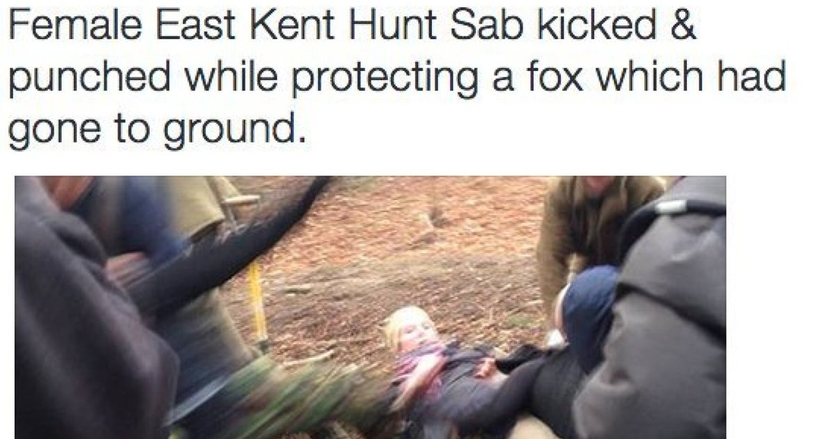 Fox Hunt Confrontation In Essex Investigated By Police As Pictures Show ...
