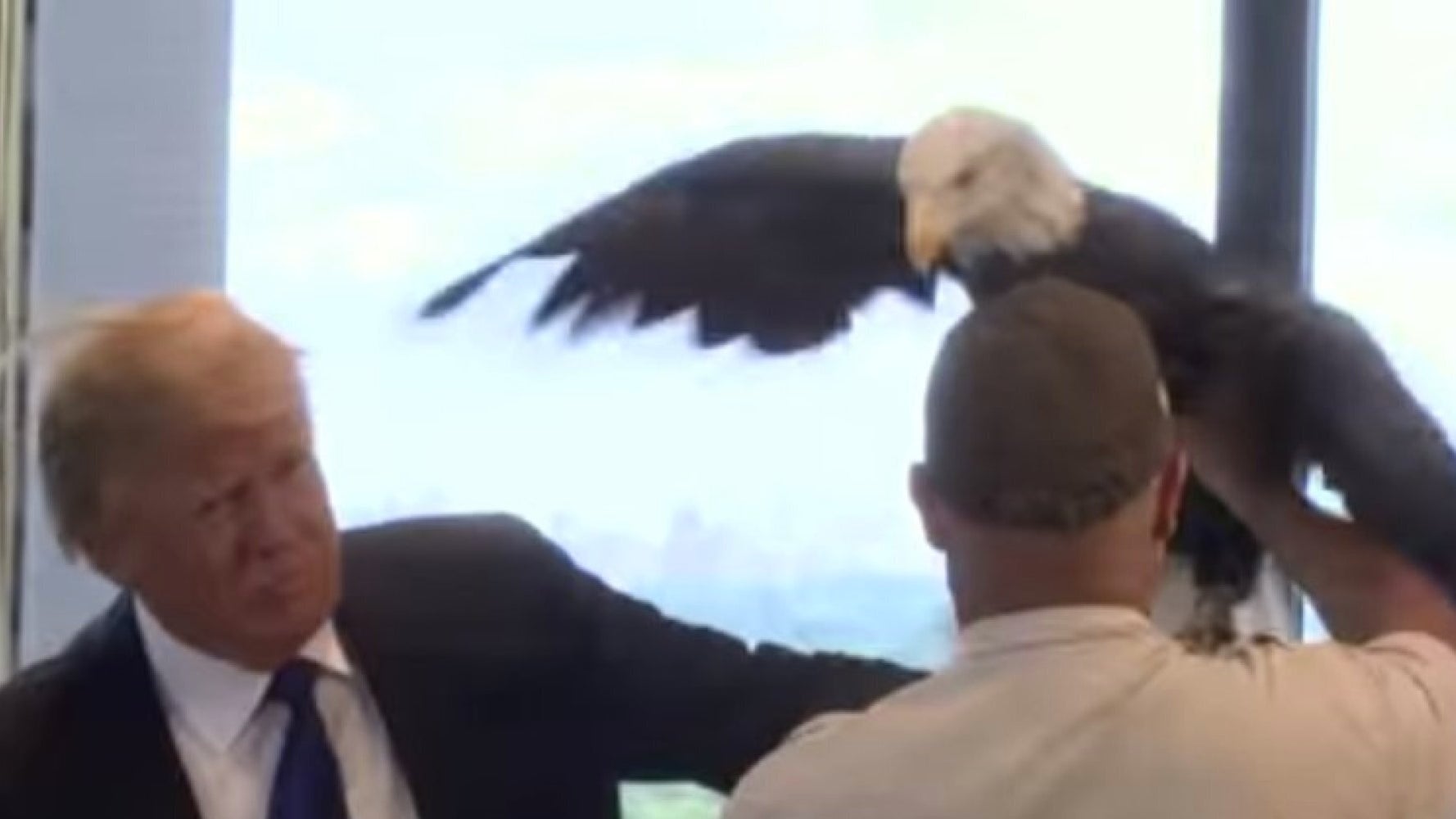 Donald Trump Hit By Eagle At TIME Magazine Photoshoot | HuffPost UK News