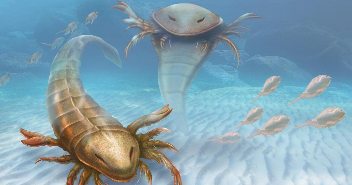 Scientists Discover 'Monster-Like Sea Scorpion Predator' That Roamed ...
